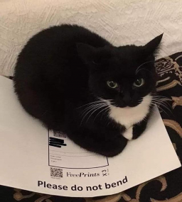 QuackCocaine - Valve Developer Community