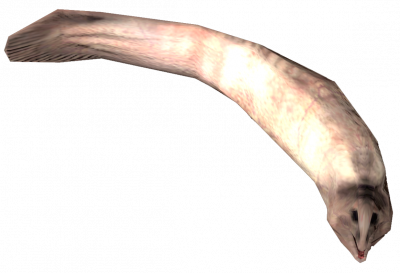 npc_leech - Valve Developer Community