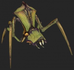 List of HL2 Animals and Creatures - Valve Developer Community